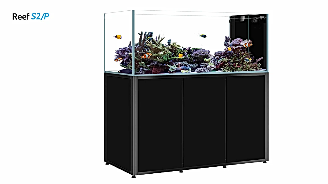 פנינסולה – WOW DESIGN